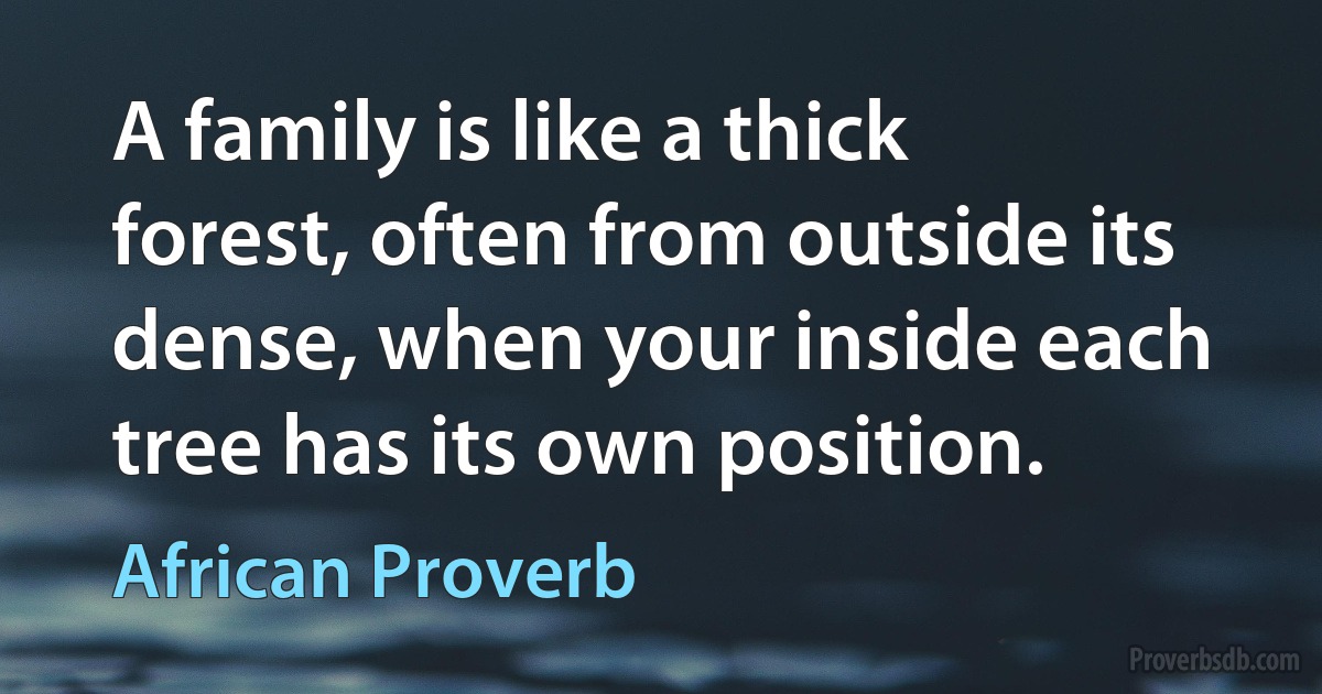 A family is like a thick forest, often from outside... - Proverbsdb.com