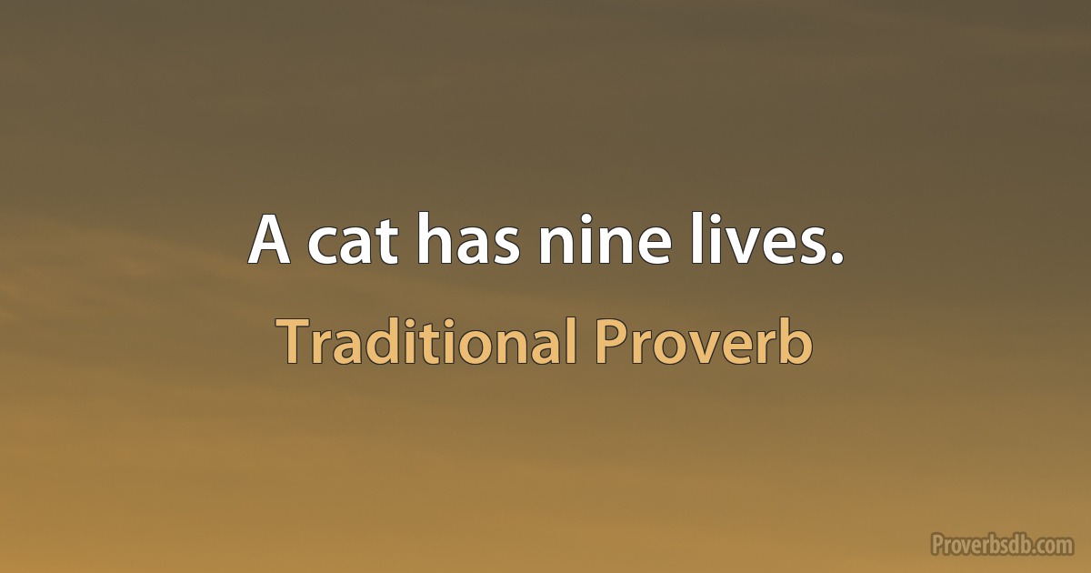 A cat has nine lives. - Traditional Proverb - Proverbsdb.com