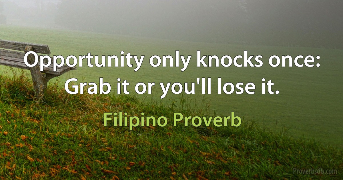Opportunity only knocks once: Grab it or you'll lose... - Proverbsdb.com